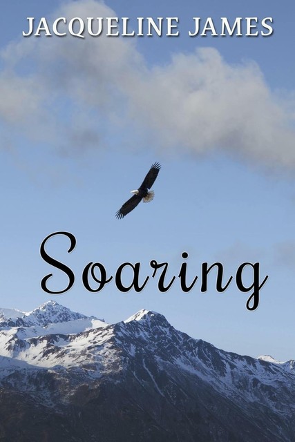 Soaring von Jacqueline James (2021, Taschenbuch) for sale online | eBay