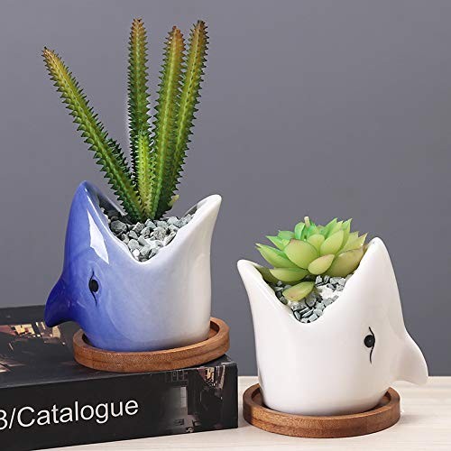 Cute 3.85 inch Tall Animal Shark Shaped Ceramic Succulent Cactus Flower ...