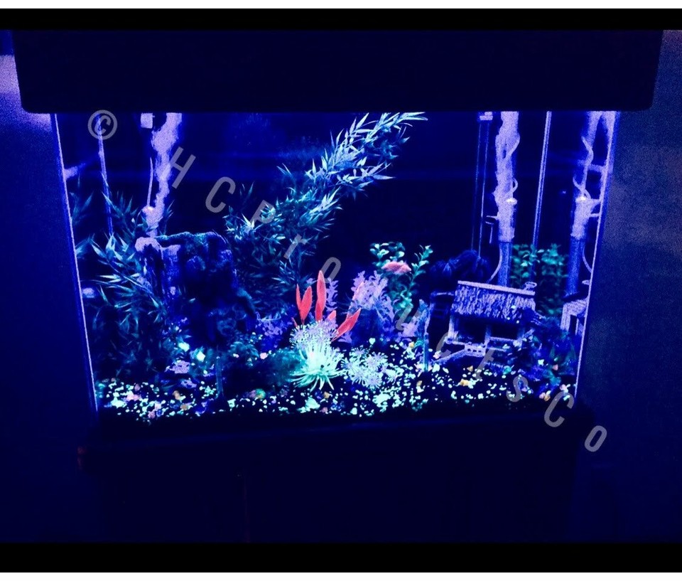 Voice Controlled Fish Tank LED Lights with 20 Color Options | eBay