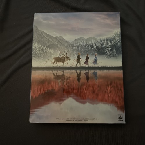 Frozen 2 Limited Edition DigiPack Blu-ray + DVD (LATAM Discs, Region A ...