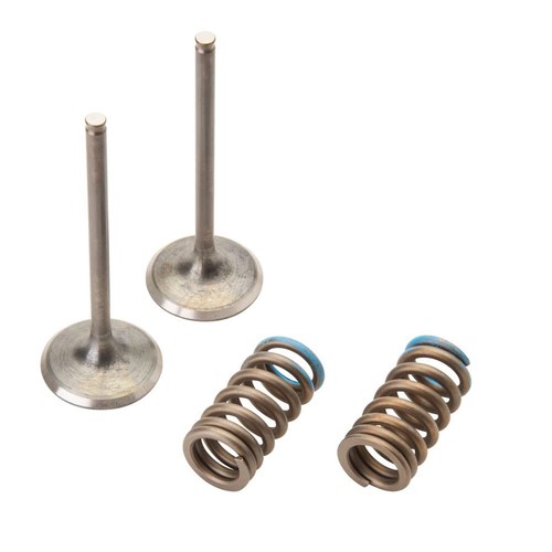 Pro X 28.SIS1337-2 Steel Intake Valve/Spring Kit | eBay