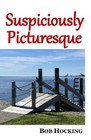 Suspiciously Picturesque by Bob Hocking Paperback Book 9798376180648| eBay