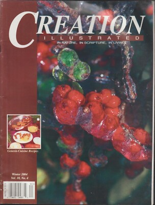 CREATION ILLUSTRATED Magazine, Crafts and Games, Nature, Winter 2004 | eBay
