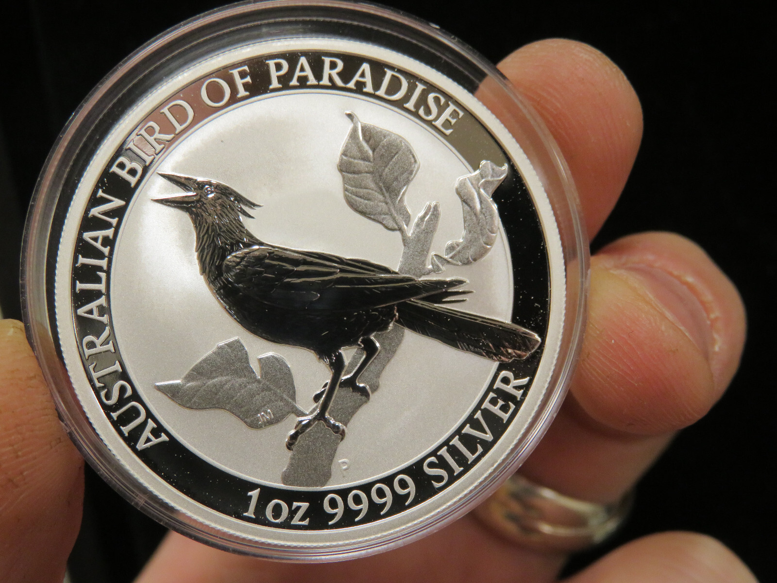 2019 Australian Bird of Paradise 1 Oz Silver Coin | eBay