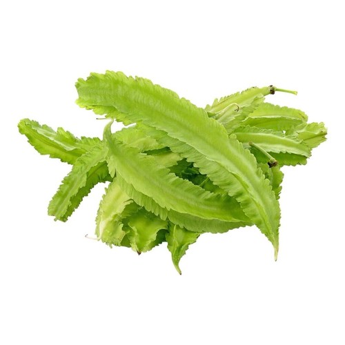 100 Dau Rong Dragon Bean Seed Winged Bean Organic Đậu Rồng FREE ...