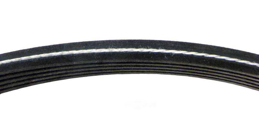 Serpentine Belt-Dual-Sided Multi-V Belt D4050565 fits 04-09 Cadillac ...