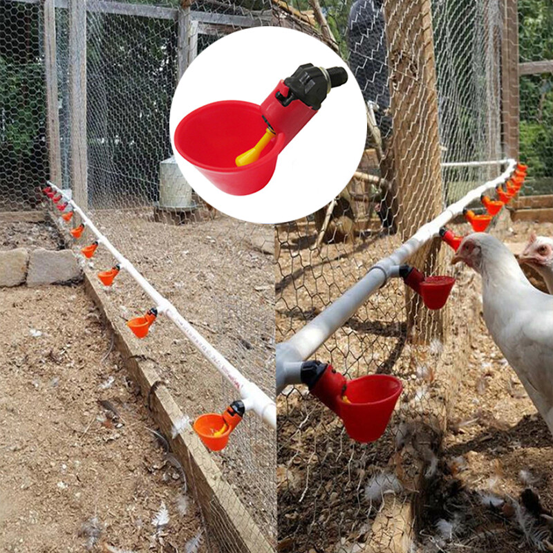 Portable Chicken Watering System Portable Shelter And Water Catchment