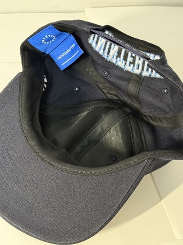 Lebron James The Show Uninterrupted Hat Rare Adjustable | eBay