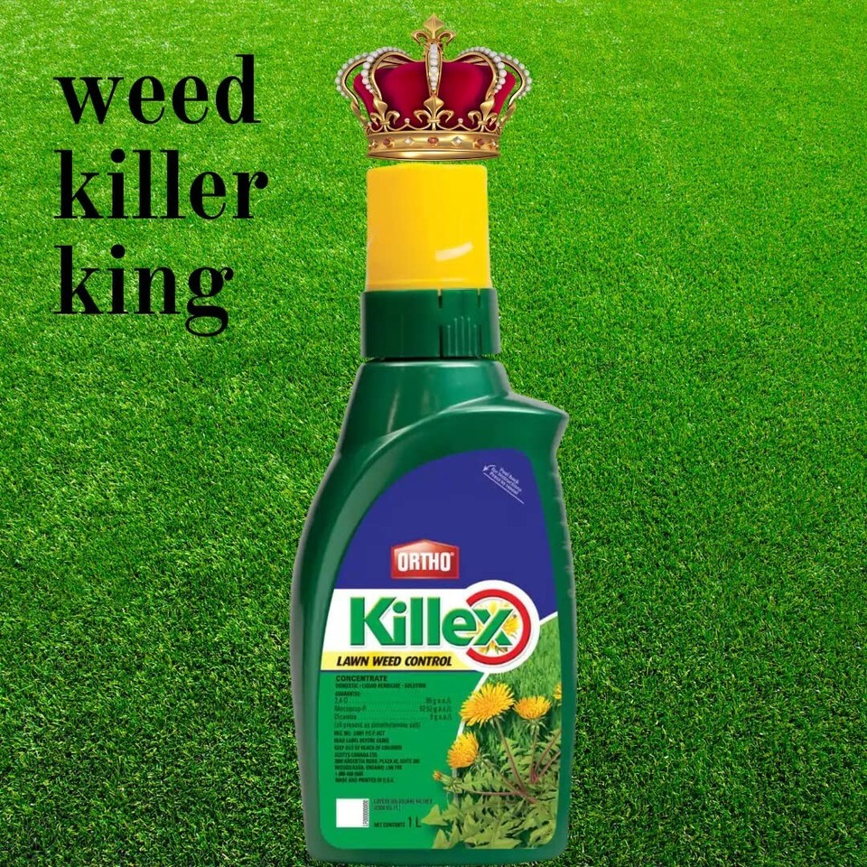 1L - KILLEX Lawn Weed Killer Concentrate Covers 800 sq. m- NEW FROM ...