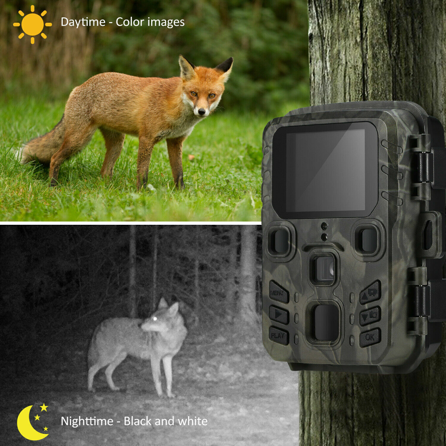 SUNTEK Mini Hunting Trail Camera 24MP 1080P Wildlife Cam Night Vision+ ...