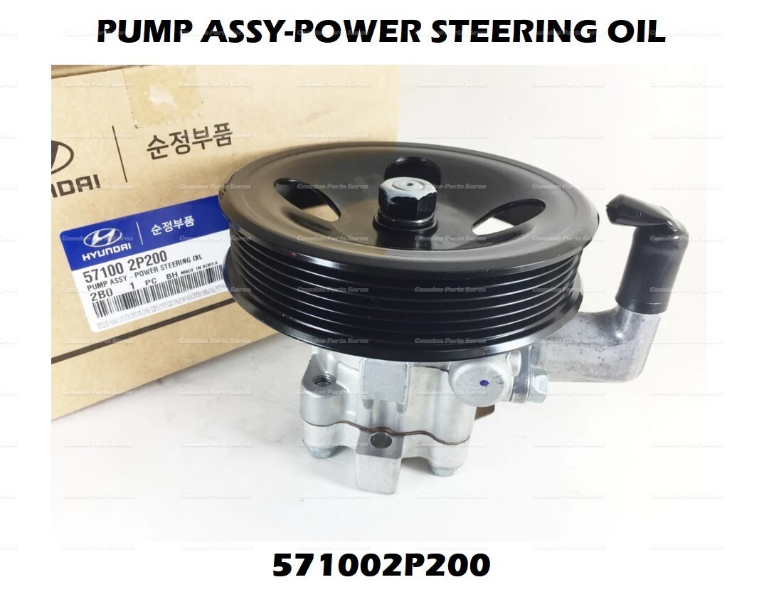 ⭐Genuine⭐ Power Steering Pump 571002P200 for Hyundai Santa Fe Kia ...