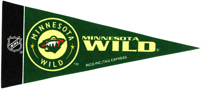 MINNESOTA WILD~BRAND NEW NHL HOCKEY TEAM MINI SOUVENIR 9" MINIATURE ...