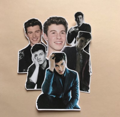 Shawn Mendes Cute Sticker Packs (24ct) | eBay