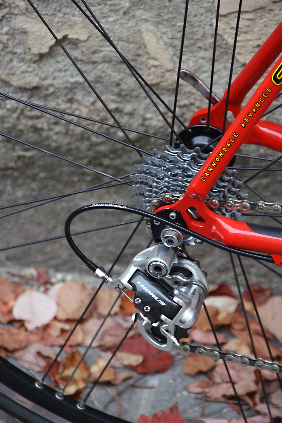 cannondale caad4 saeco campagnolo chorus vento g3 wheels cipollini ...