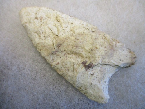 AUTHENTIC NATIVE AMERICAN Arrowhead 5. COPENA 3. INCHES WITH FOSSIL. | eBay