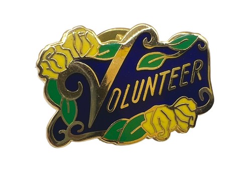 Vintage C Sanders Enamel Lapel Pin Volunteer Blue Yellow Flowers ...
