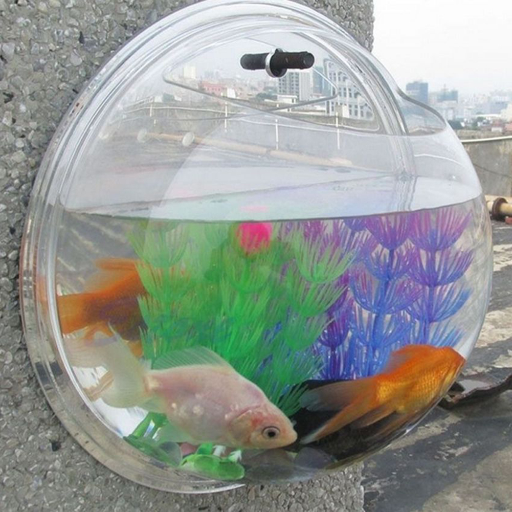 1pcs Creative Acrylic Hanging Wall Mount Fish Tank Bowl Vase Aquarium ...
