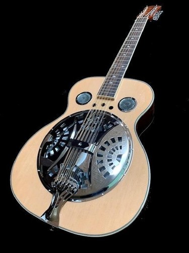 GREAT PLAYING NEW 12 STRING ACOUSTIC DOBRO RESONATOR GUITAR | eBay