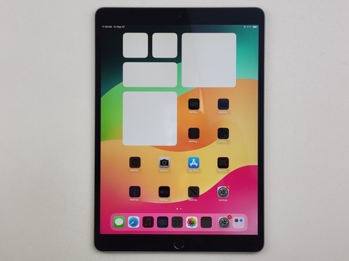 Apple iPad Pro 1st Gen. (A1701) 256GB (Wi-Fi Only) 10.5" - SMALL ISSUE ...