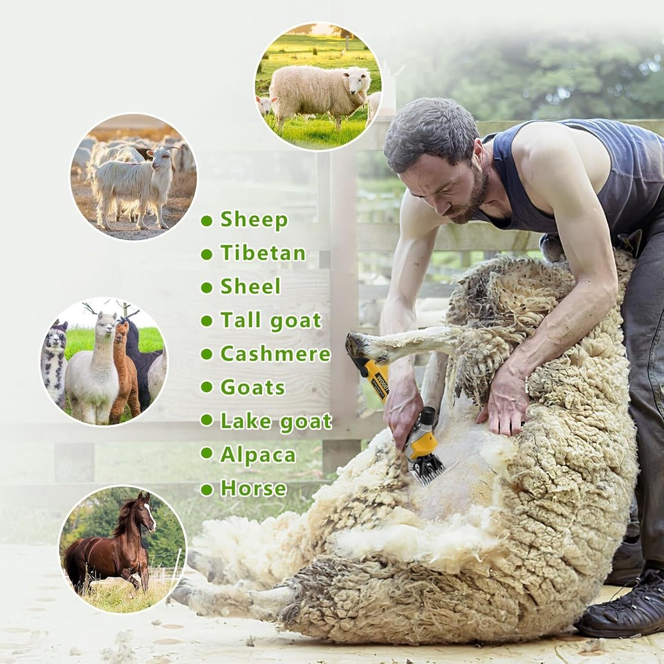 1000W Sheep Shears Electric Farm Livestock Haircut with 2 Blades ...