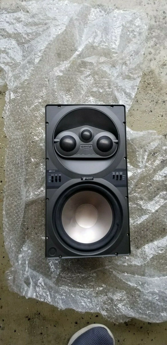 Niles Ceiling Speakers Review | Shelly Lighting