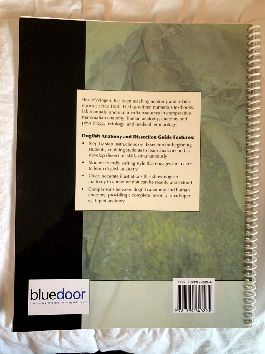 Dogfish Anatomy And Dissection Guide