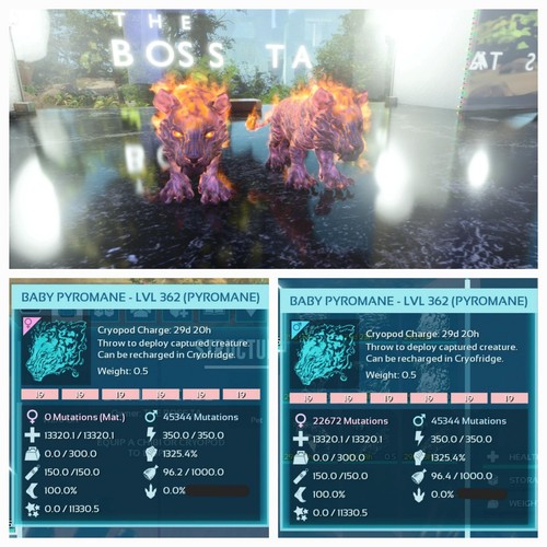 ARK ASCENDED PVE OFFICIAL PAIR BABY PYROMANE ID19 HIGH STATUS PC/XBOX ...