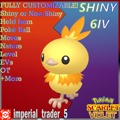 Pokémon Scarlet and Violet SHINY Torchic W/ Best 6IV + Customizable | eBay