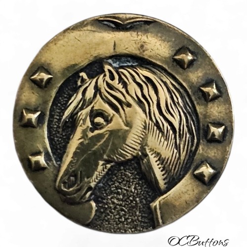 Antique Picture Button Horsehead Horseshoe Boarder BM A.P & C PARIS ...