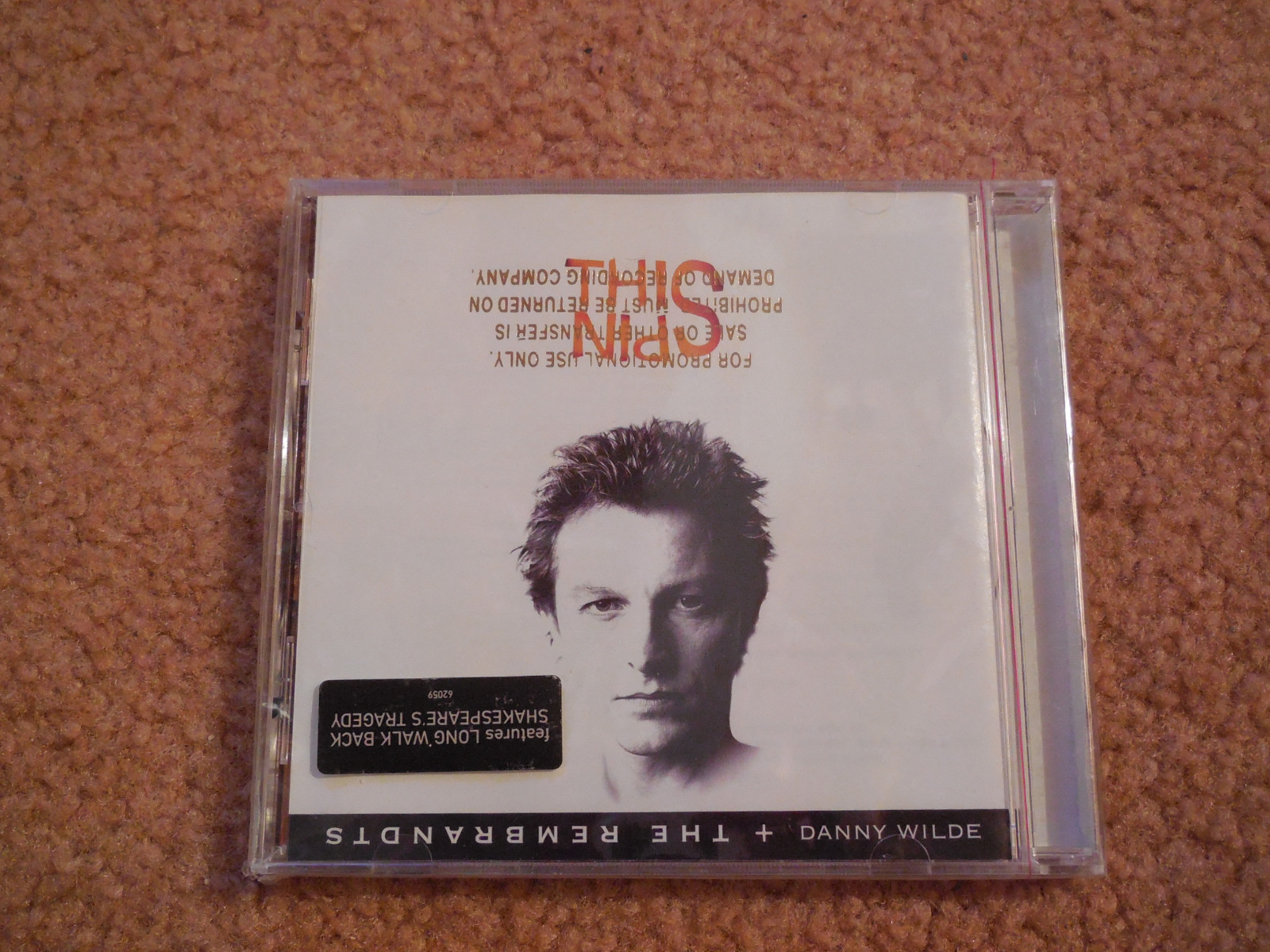 Spin This! by Danny Wilde/Danny Wilde & the Rembrandts/The Rembrandts ...