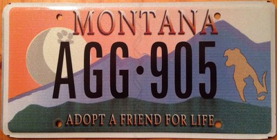 PET ADOPTION ANIMAL FRIENDLY license plate Dog Cat Shelter Lover Puppy ...