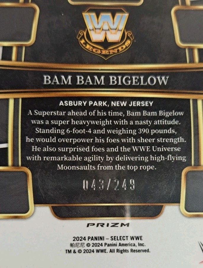 2024 Panini Select WWE 99 Bam Bam Bigelow Light Blue CGC 9.5 Mint+ | eBay