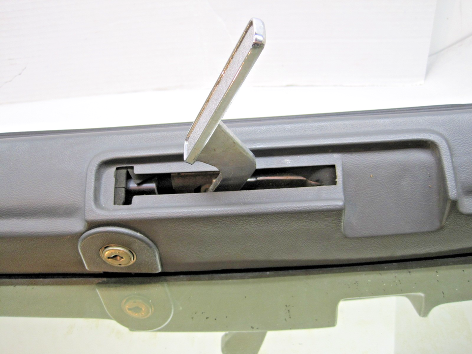Pair 1979-1986 Ford Mustang Capri OEM glass Carlite T-tops storage bags ...