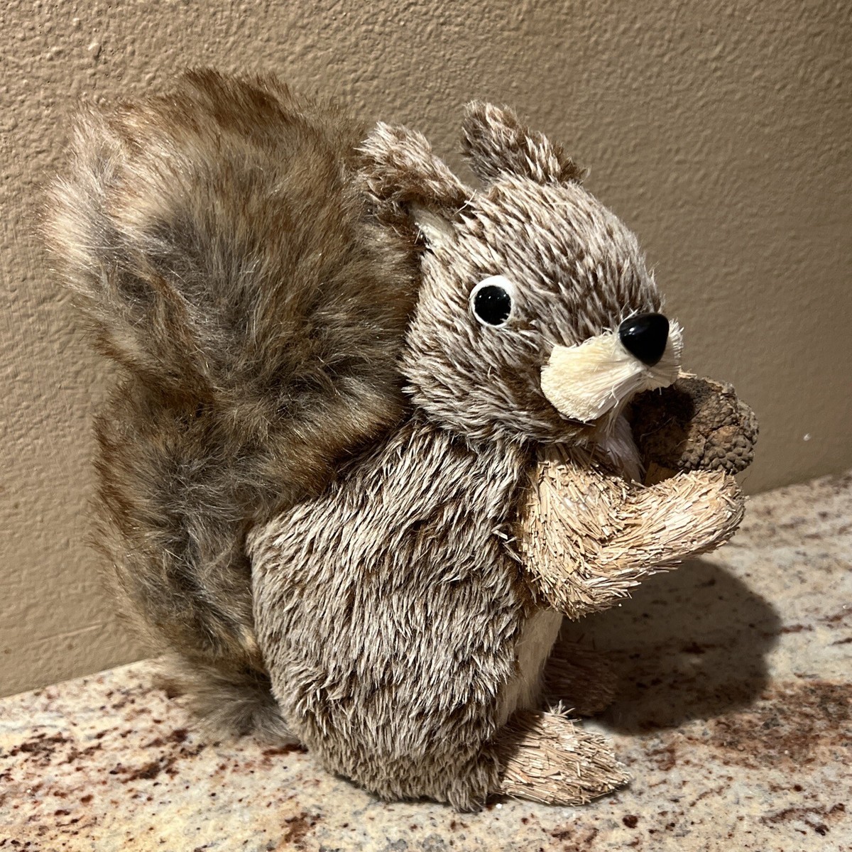 Squirrel Nut Tail Animal