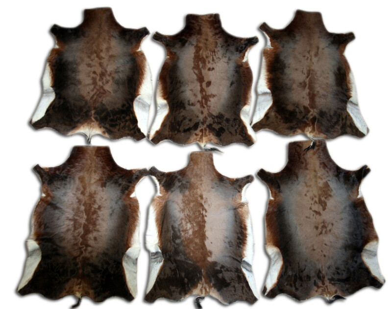 Deer Skin Blesbok Antelope Hide Around 4X3' Deer Skin African Antelope ...