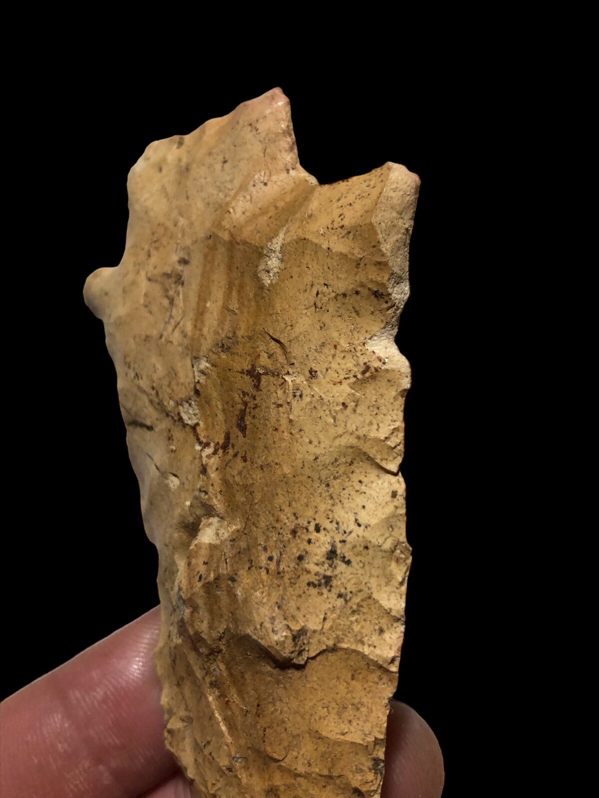 Big Ledbetter Deep South Georgia Florida Authentic Indian Artifacts ...