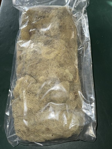 10 lbs USNEA MOSS Lichen (Usnea Barbata) Old Mans Beard, SURVIVAL MOSS ...