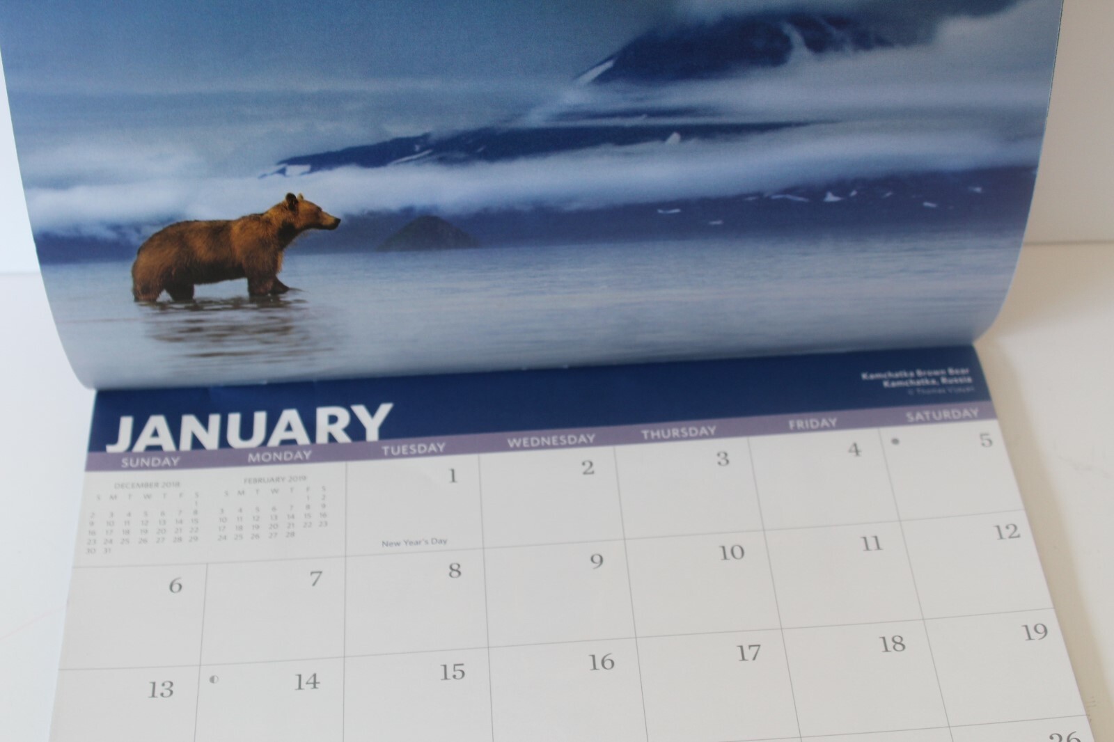 2019 WALL CALENDAR - From The Nature Conservancy | eBay