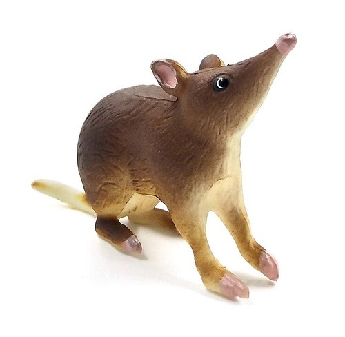 Rodent Animal Toy PVC Action Figure Kids Toys Party Gifts | eBay