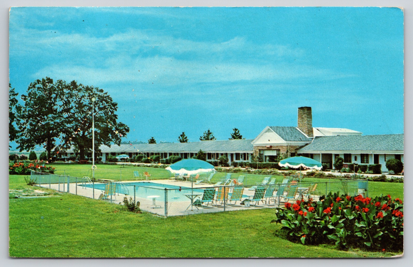 Postcard New Yorker Motel and Restaurant Weldon North Carolina Swimming ...