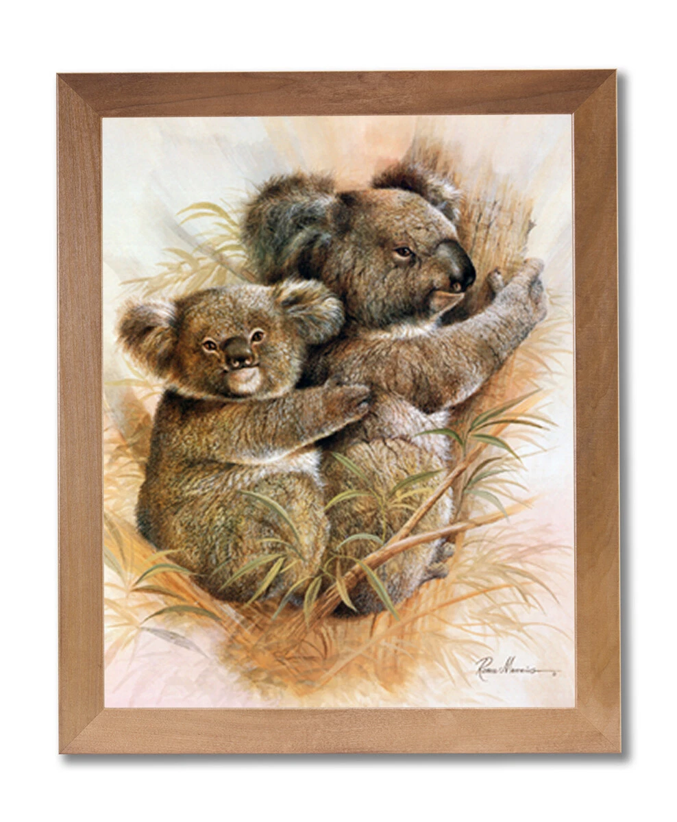 2 Koalas Hugging