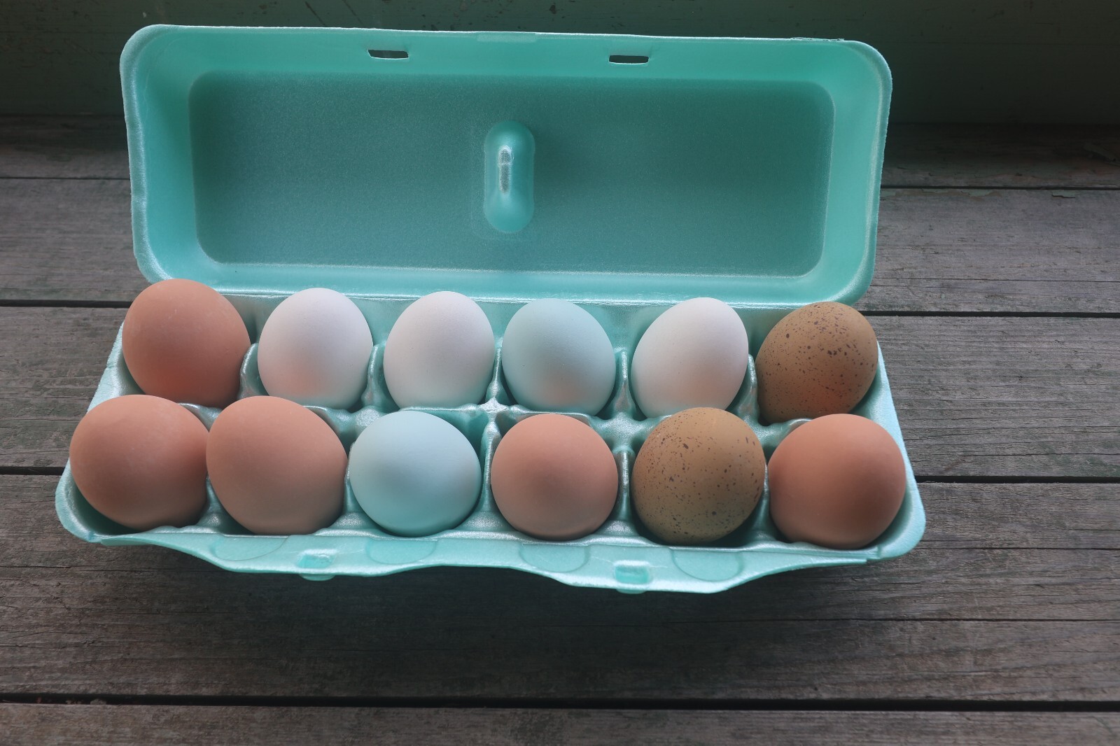 Styrofoam Bulk Egg Cartons (50 pack) Green | eBay