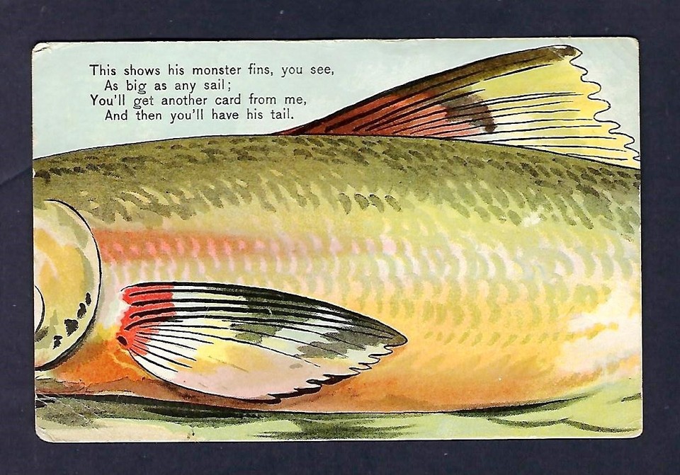 Early 1900's Postcard, “The Fish Story” 3-Card Panoramic Comic Fish ...