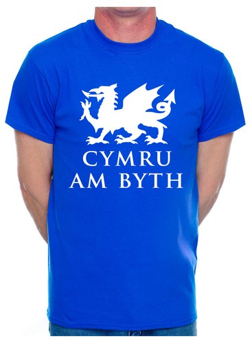 Cymru Am Byth Wales Welsh Dragon Birthday Gift Funny Mens T-Shirt | eBay