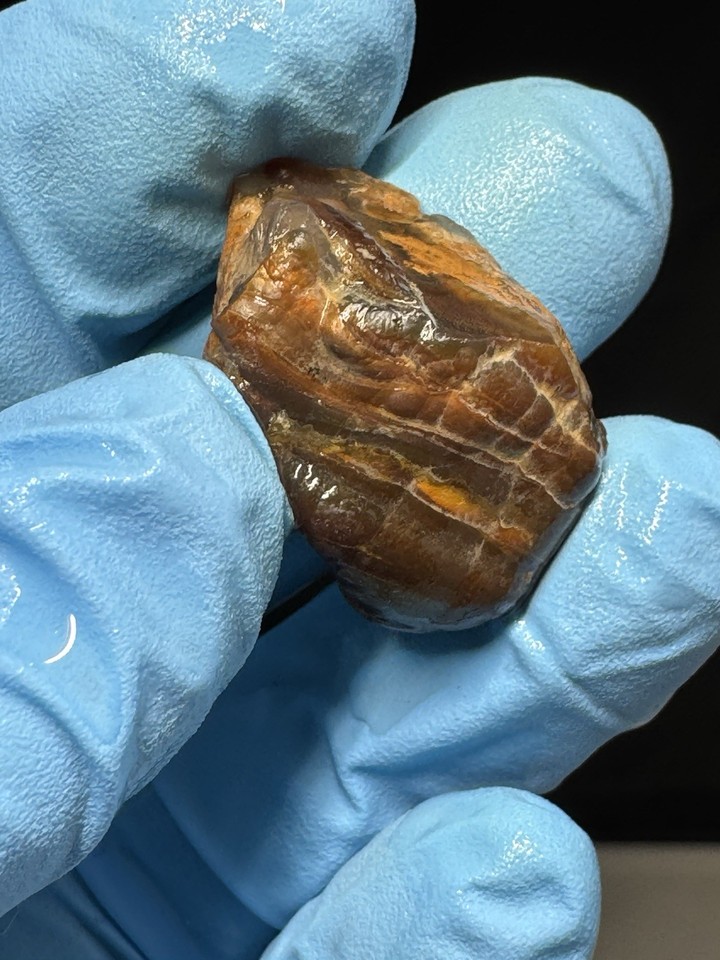 Fire Agate High Grade & Imperial Personal Collection Rough & Windows ...