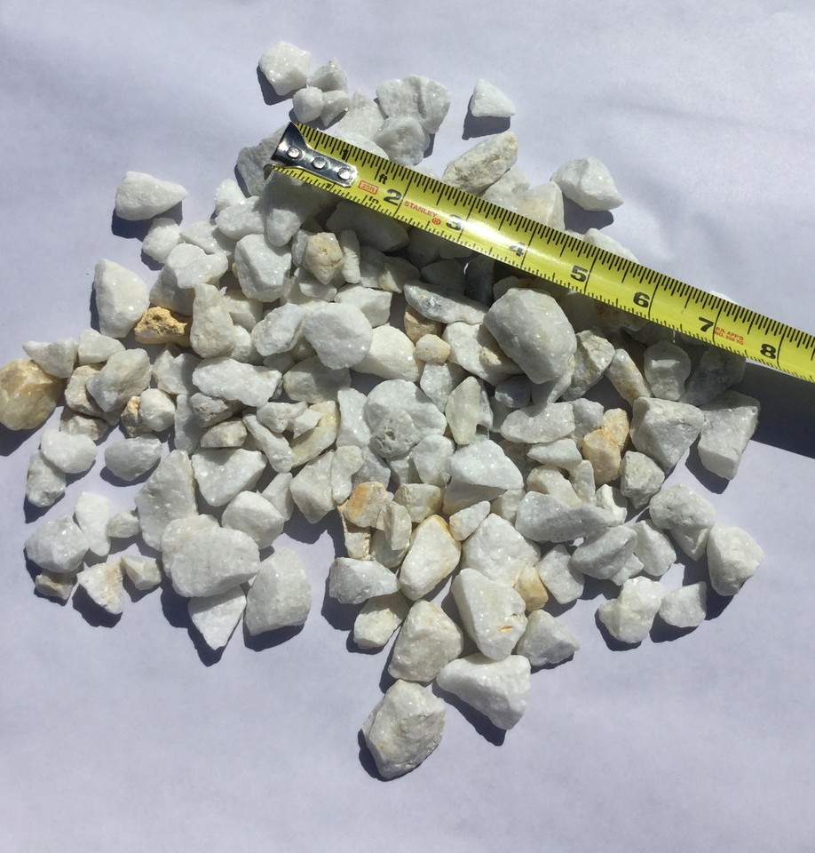 24 Pounds of White Dolomite 1/2" to 1" size Rock from Engine 109 The ...