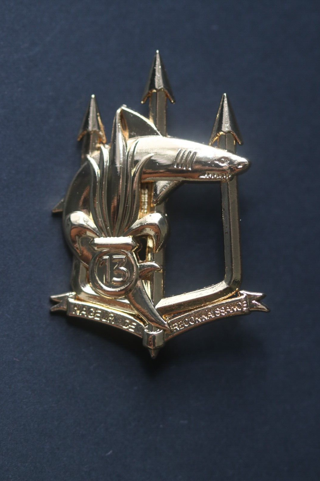 FRENCH FOREIGN LEGION 13TH DBLE REGIMENT RECONNAISSANCE DIVER ORIGINAL ...