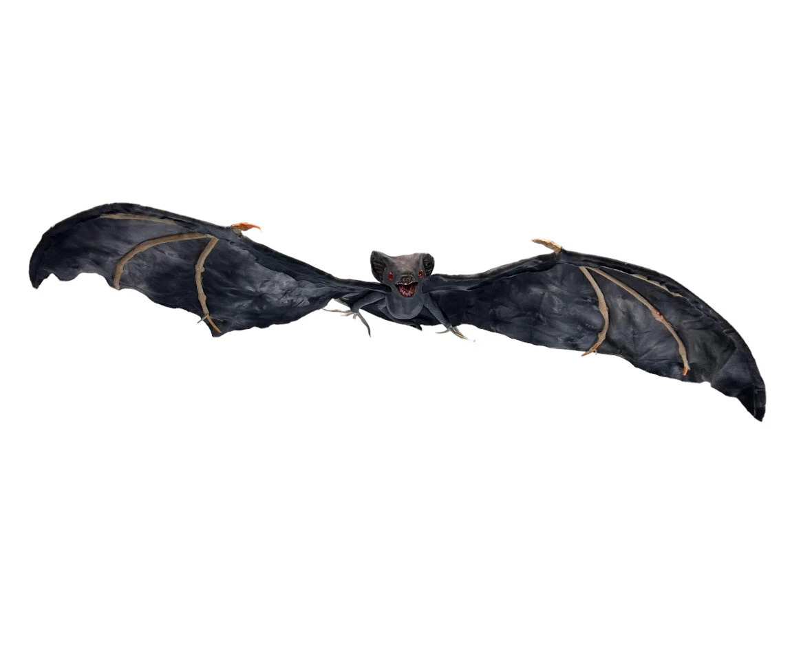 Vampire Bat Hanging