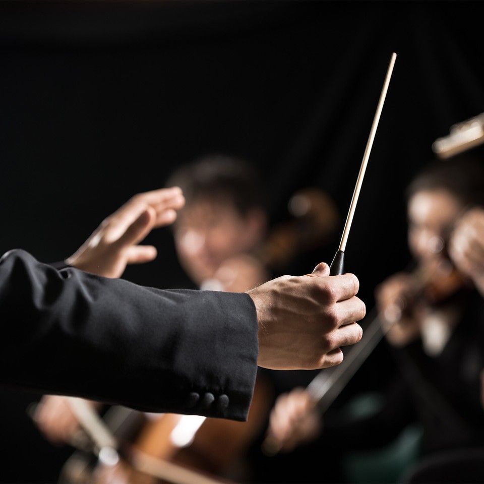 39cm/15inch Music Conductor Baton, Orchestra Baton Resin Handle with ...