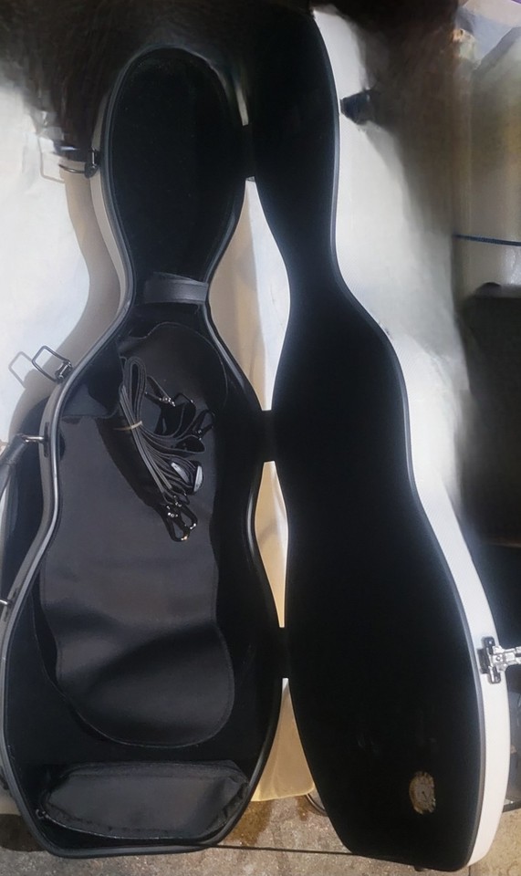 Christina 4/4 Full size violin case, Carbon Fiber, w/ music sheet bag ...